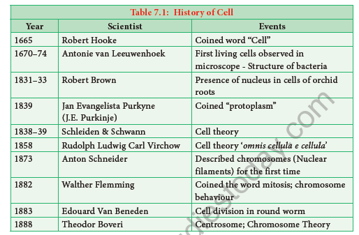 NEET Botany Cell Cycle Chapter Notes NEET Botany Cell Cycle Chapter Notes
